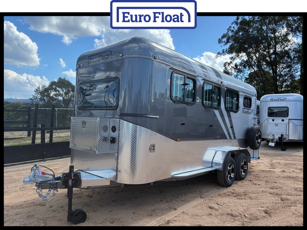 In Stock Horse Floats - Euro Horse Floats – EuroEquestrian